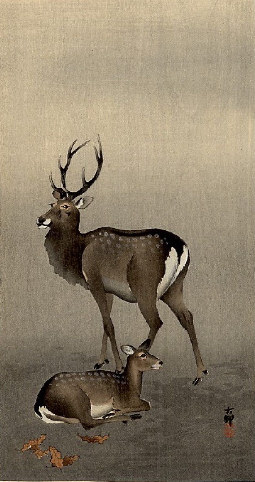 Deer by Ohara Koson - Masterpieces of Japanese Culture